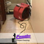 The Expert Guide to Water Extraction and Removal Services in Aline, OK