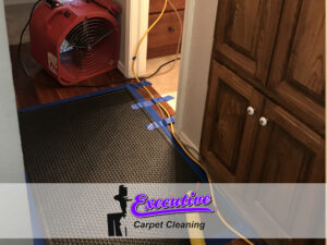 Expert Water Extraction & Removal Services in Carrier, OK-Water Removal